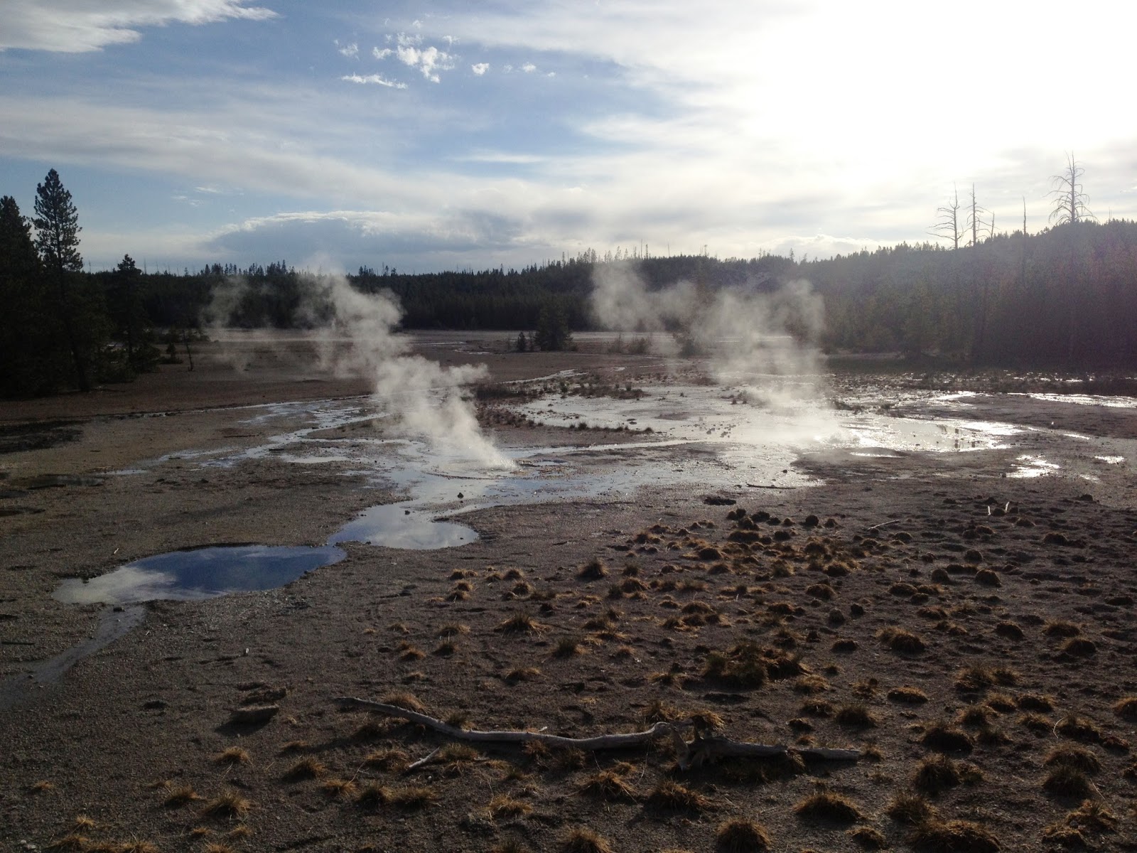 Brian and Ashley's Hiking Blog!: Norris Geyser Basin Hike (Yellowstone ...