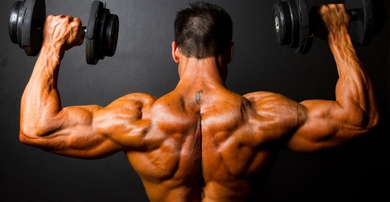 Latinski jezik za medicinske škole: Proteini