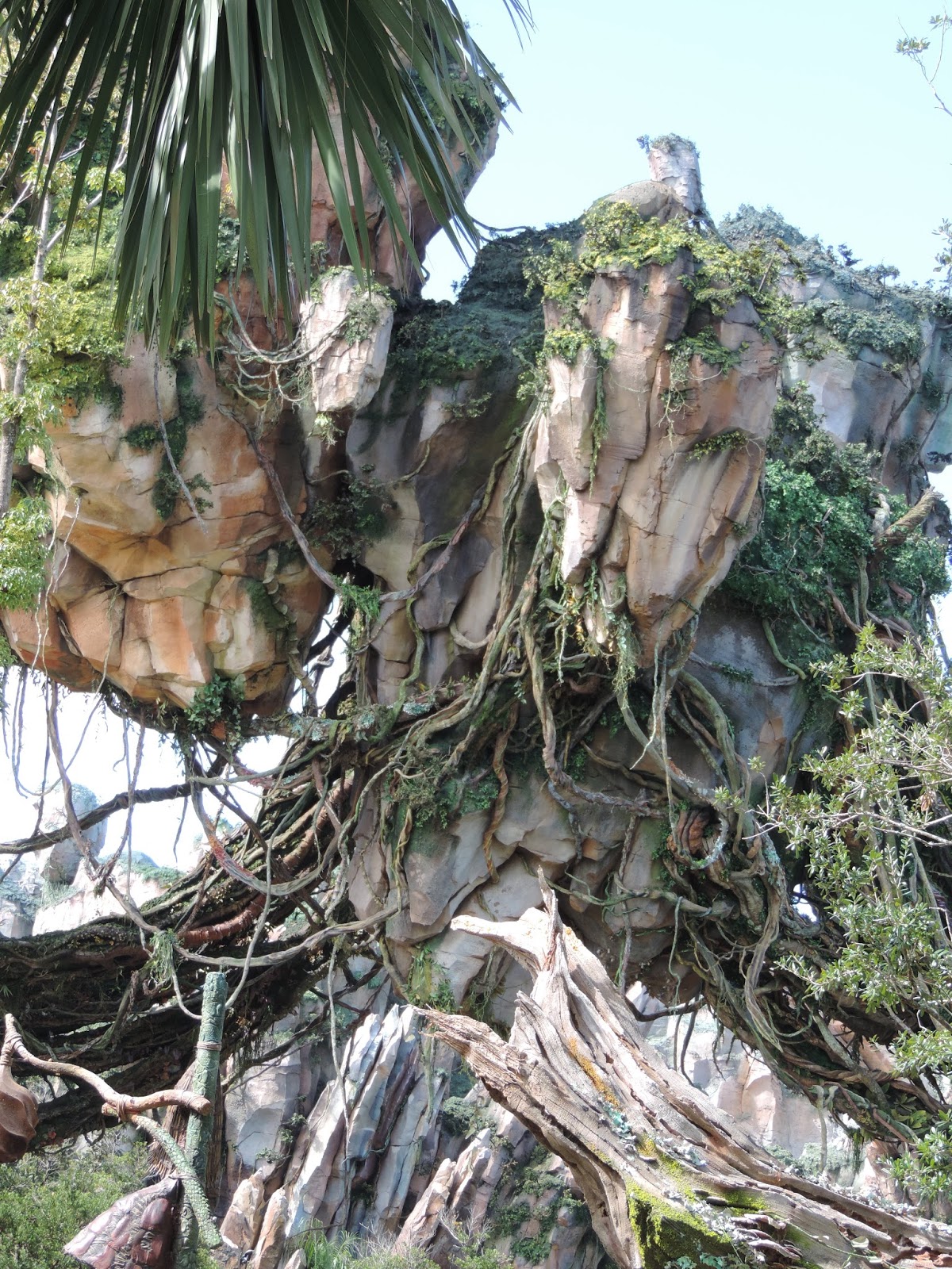 Mail4Rosey: All 4 Disney World Parks in a Day. Should You?