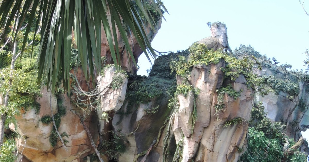 Mail4Rosey: All 4 Disney World Parks in a Day. Should You?