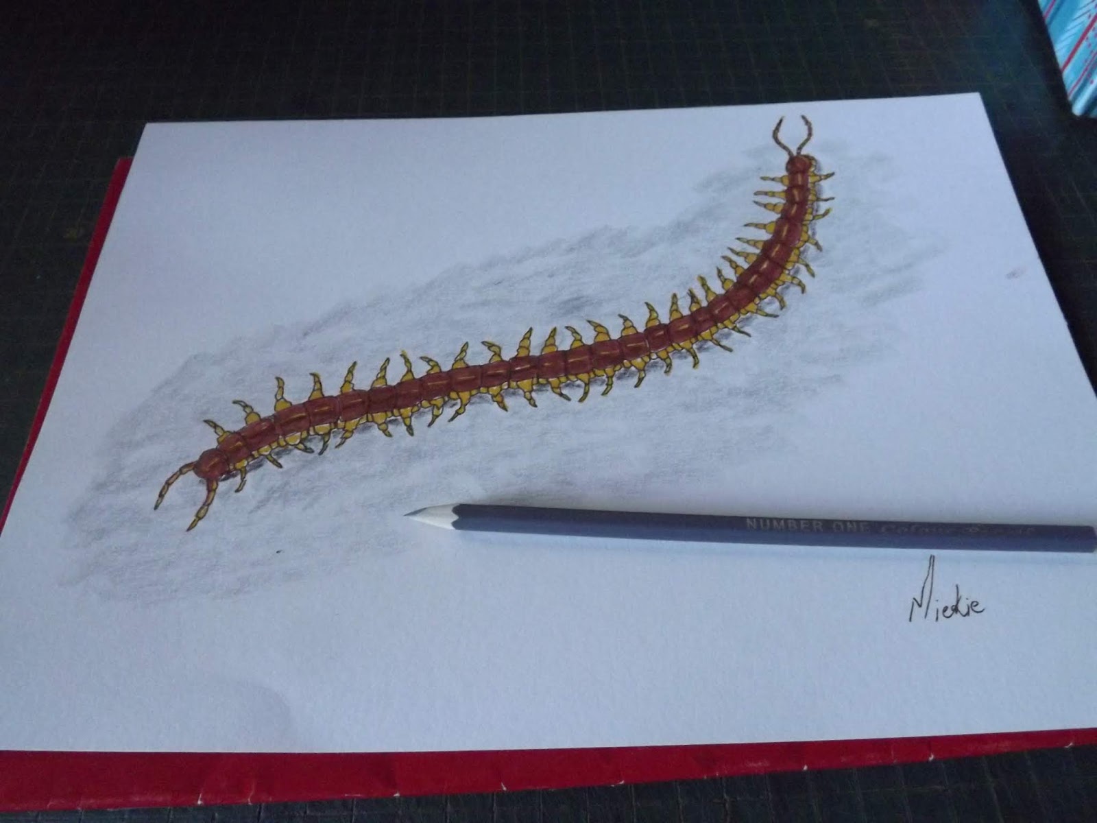 A Pretty Talent Blog: How to draw: A Centipede