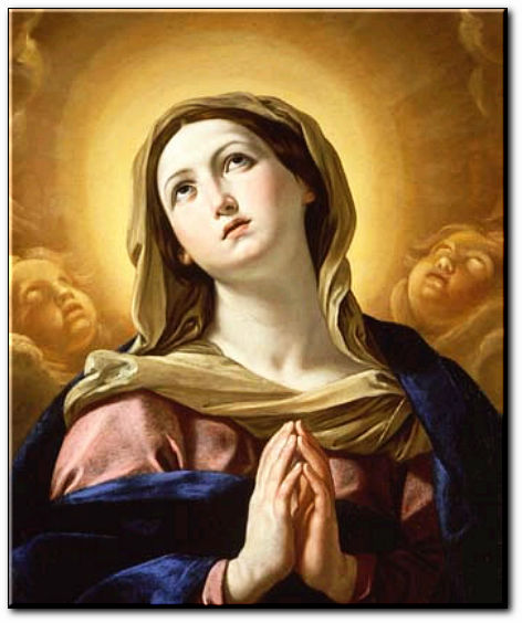 Poesias Católicas: A Festa da Imaculada Conceição