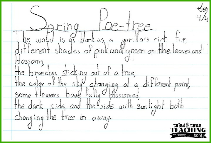 Teaching Perspective Through Photos | Tried and True Teaching Tools