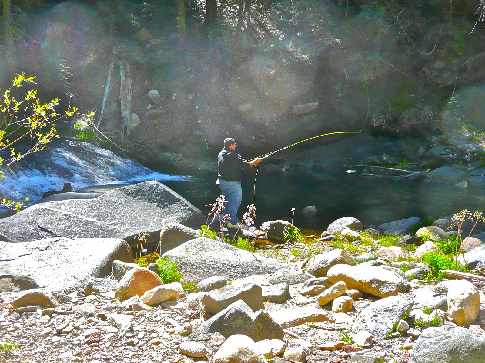 Breaking the Bank: Fly Fishing with Mark!