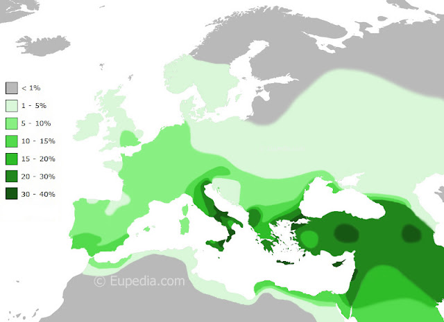 J2a4h2 Y Haplogroup J-L25 DNA J-F761: J2 originated in northern Mesopotamia