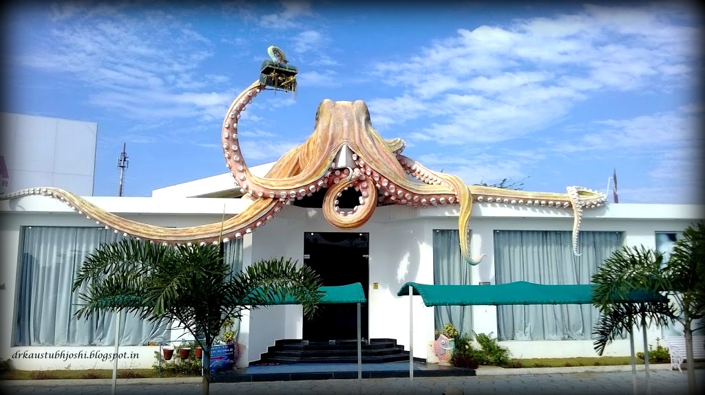 Contents of life: Seashell museum of Mahabalipuram