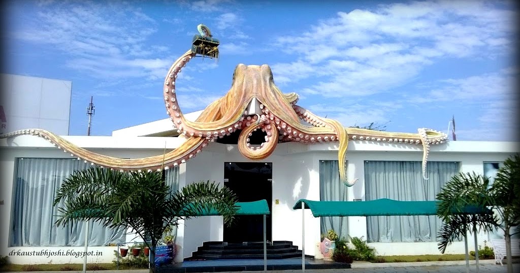 Contents of life: Seashell museum of Mahabalipuram