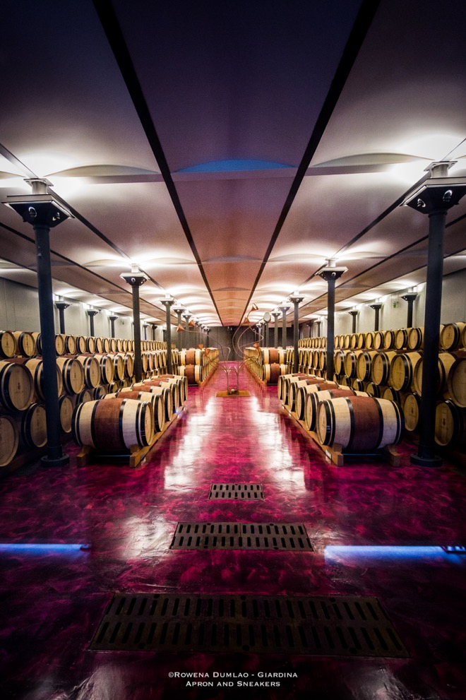 Ornellaia Winery in Bolgheri, Italy