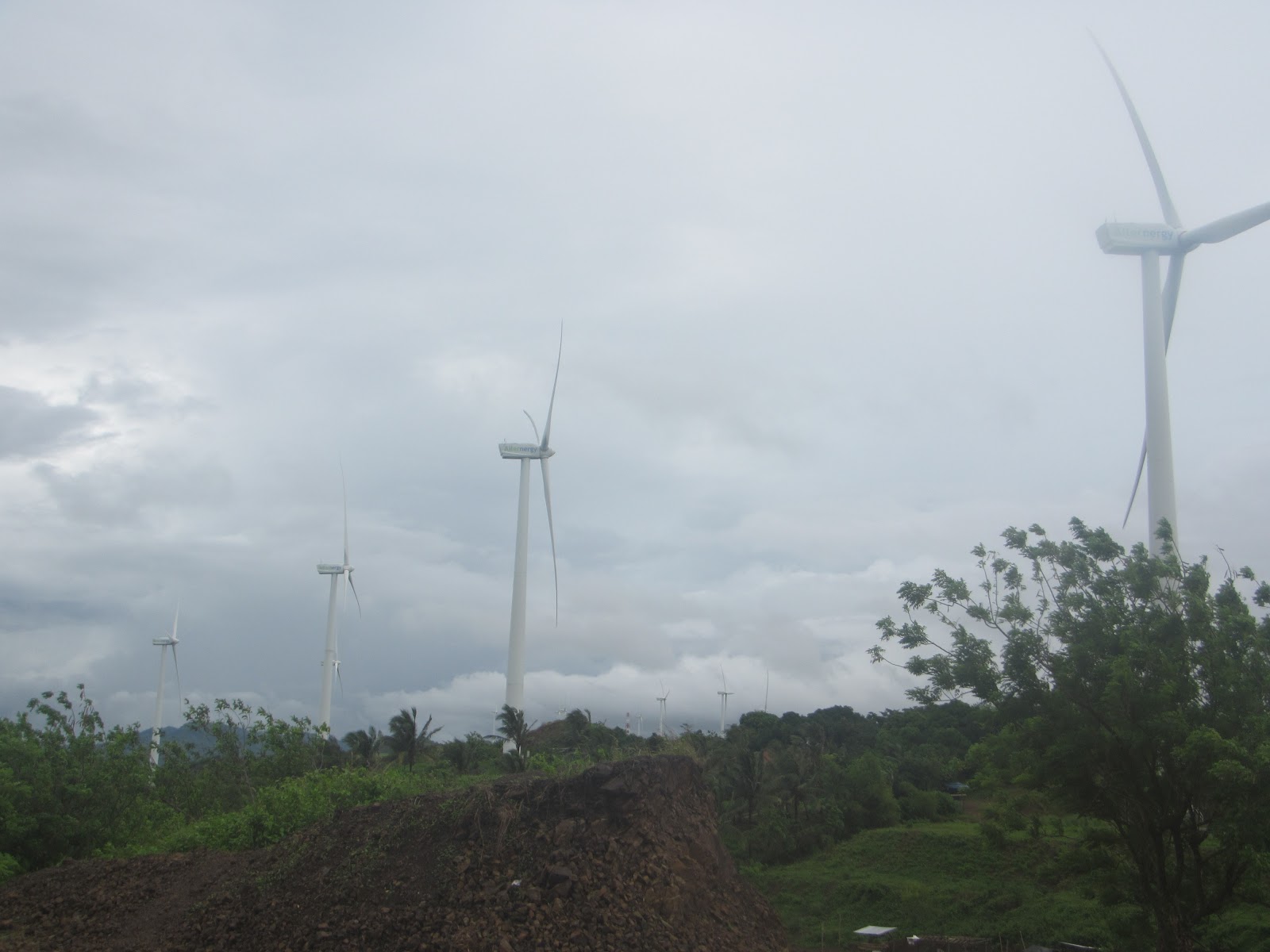 LEXICAL CROWN: IF YOU LEARN TO LOVE THE WINDMILLS IN ILOCOS THEN YOU ...