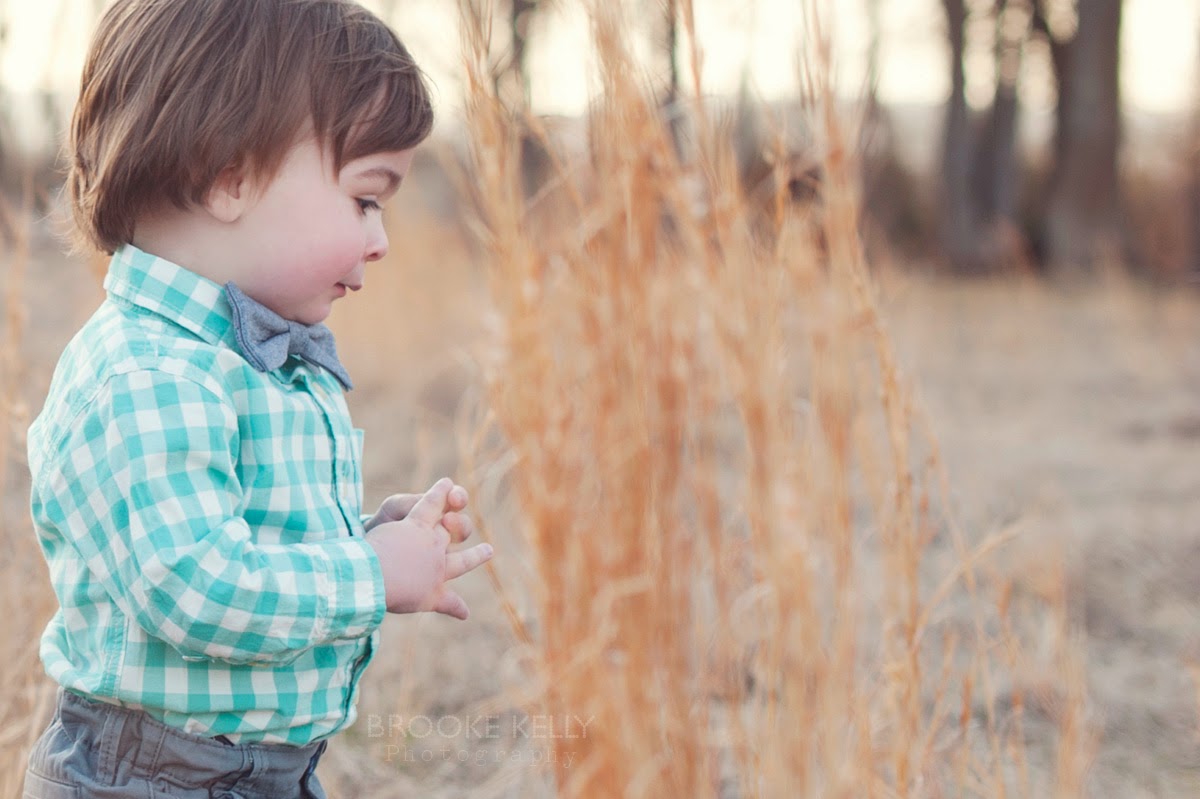 The Snozberry Diaries