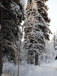 Imajin8: Skiing at UAF