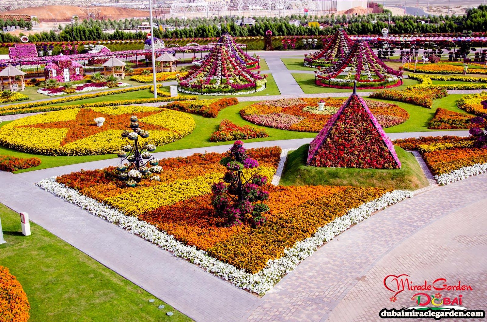 KOTAKITAKU: Taman Bunga di Padang Pasir "Dubai Miracle Garden ...