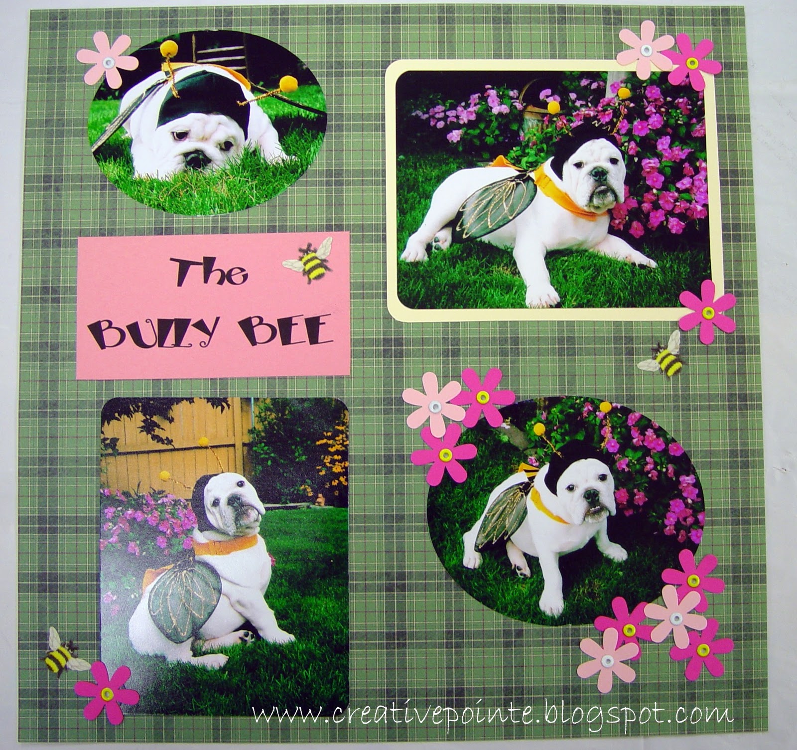 The Creative Pointe: Pet Week! Scrapbook Layouts