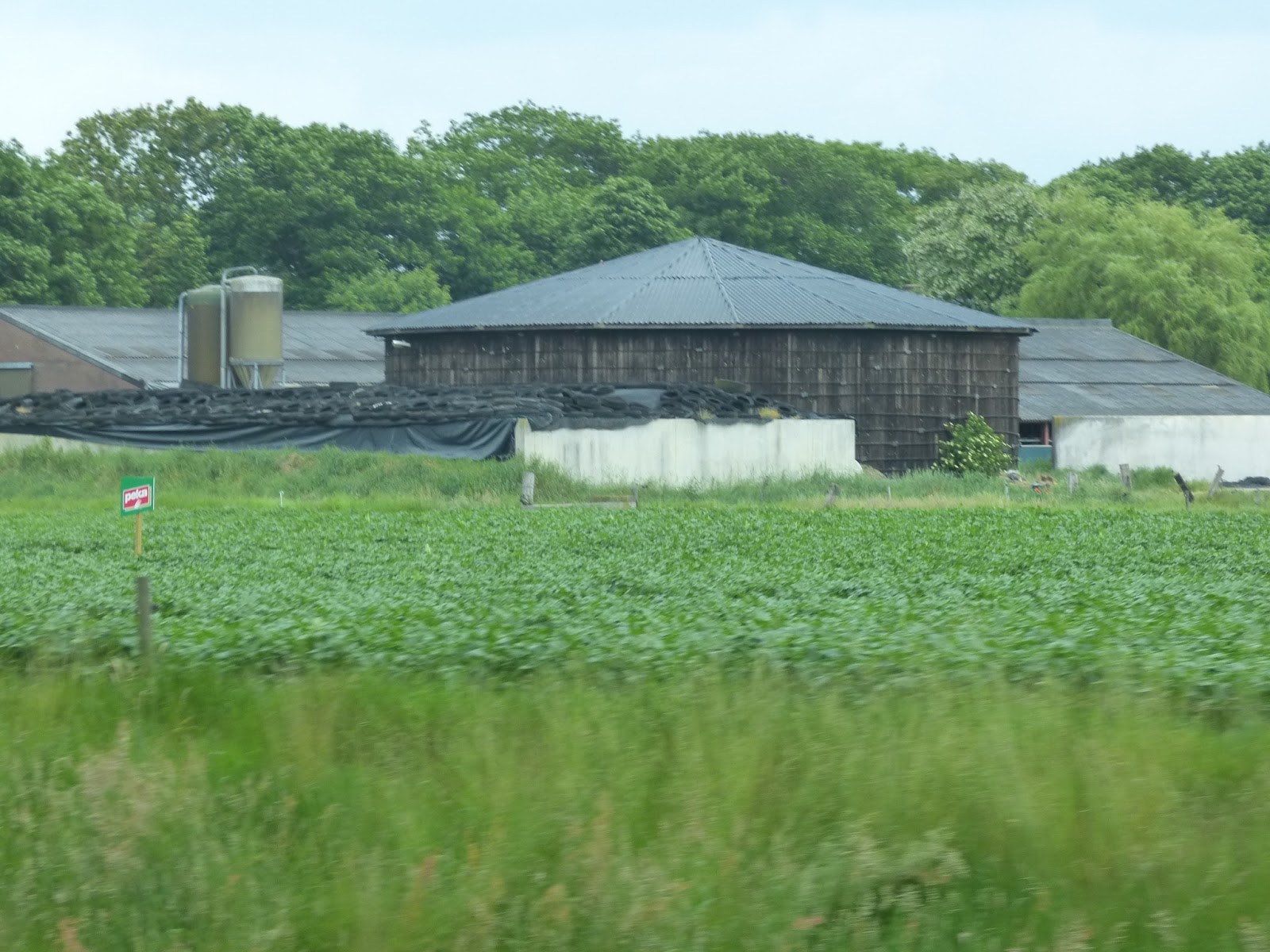 Ray's Retirement: Venlo - Cafe Backus