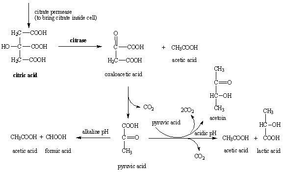Lab series# 15: Biochemical tests for identification of bacterial isolates