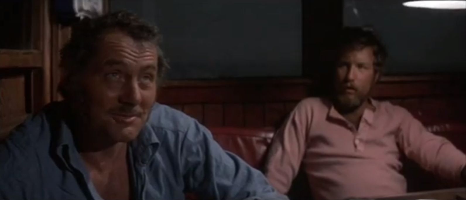 ShellHawk's Nest: Reflections on "Jaws"