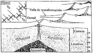 Teoría de la tectónica de placas | Geología y Biología
