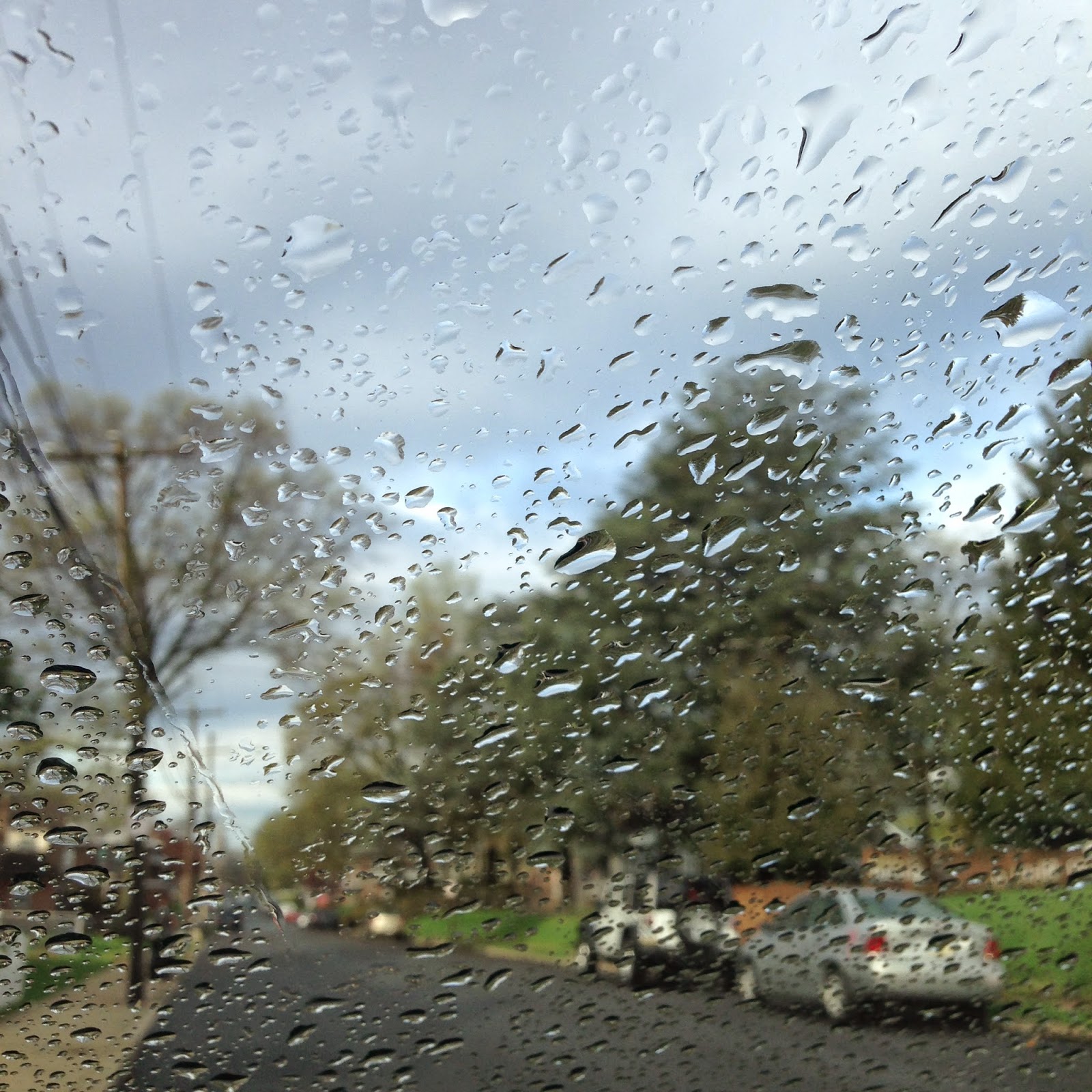 A New Day: After the Rain