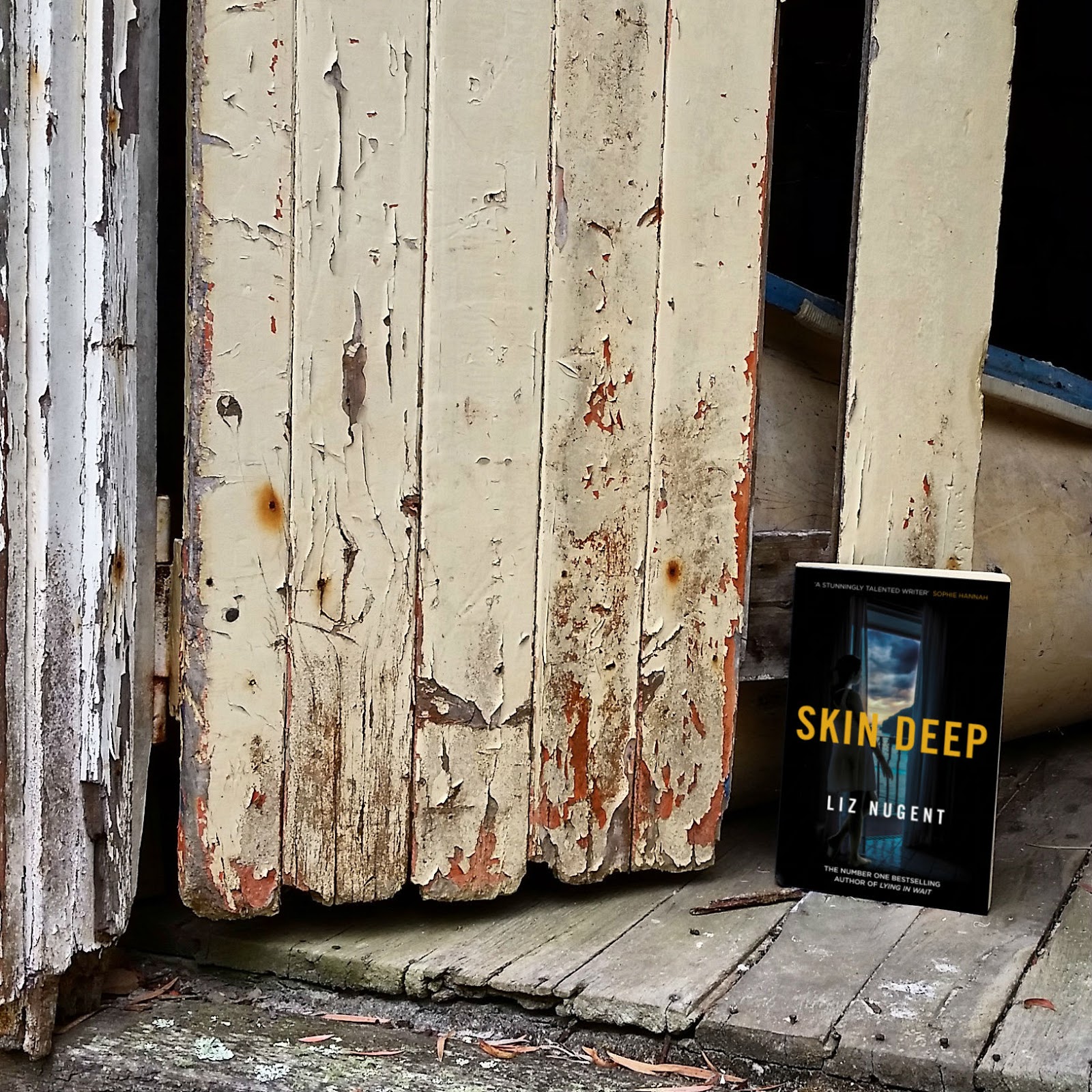 but books are better: Book Review: SKIN DEEP by Liz Nugent