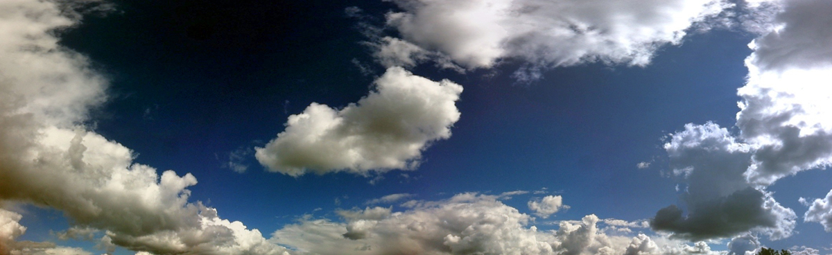 OPEN FLUX: En dags utställning: Vilken tur! Himlen omfamnar oss!