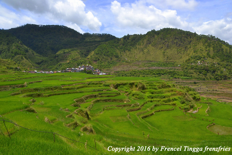 Frenz Fries: Mt. Kupapey, Maligcong Rice Terraces
