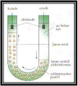 julinton_chemistry_Area: Sifat – Sifat Koloid