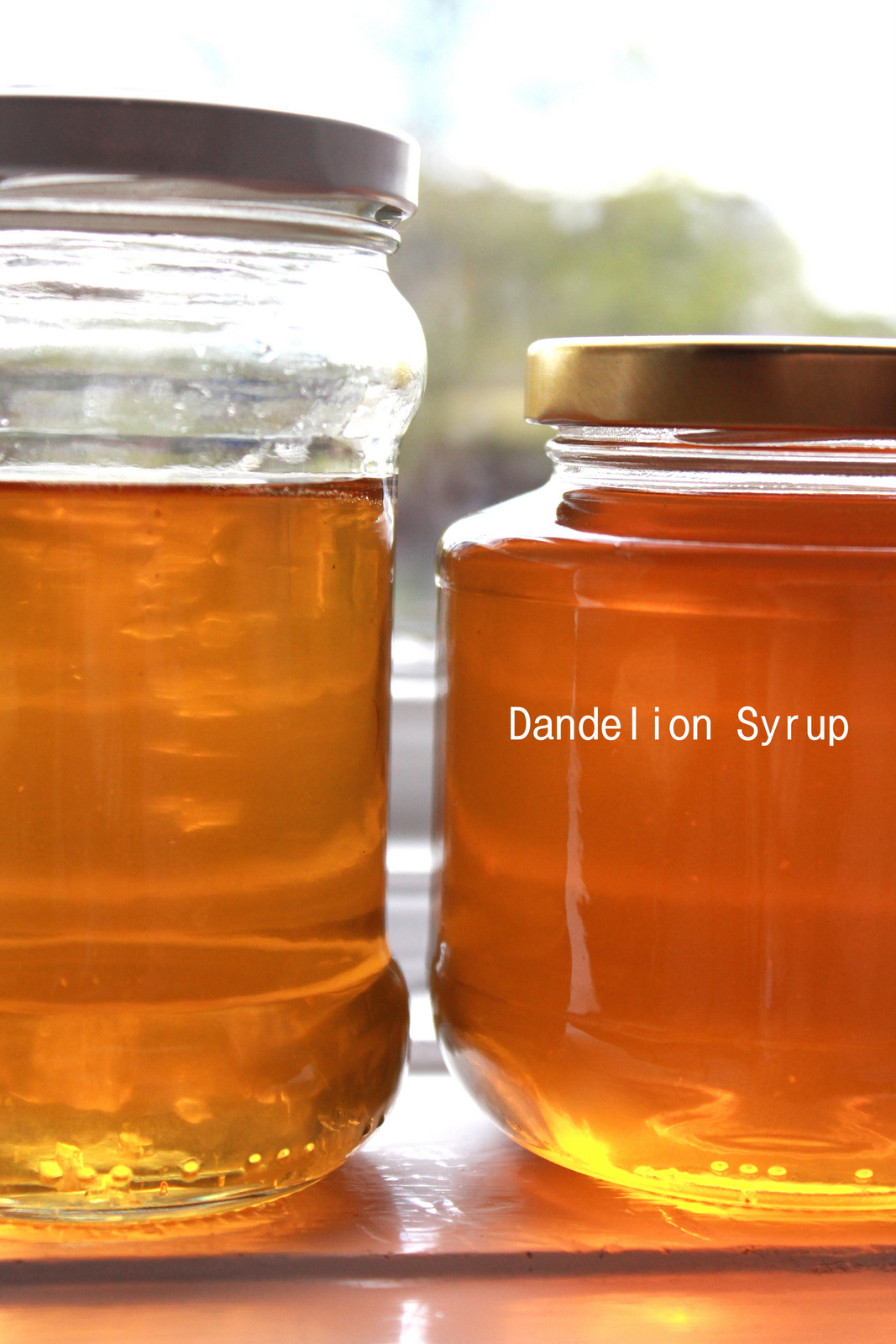 Ceperka: Dandelion Syrup