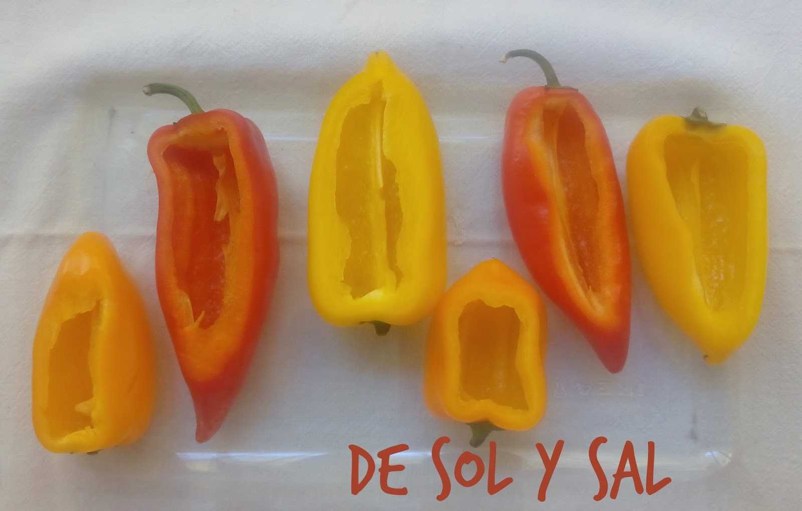 De sol y sal: Pimientos mini rellenos, receta Tex Mex