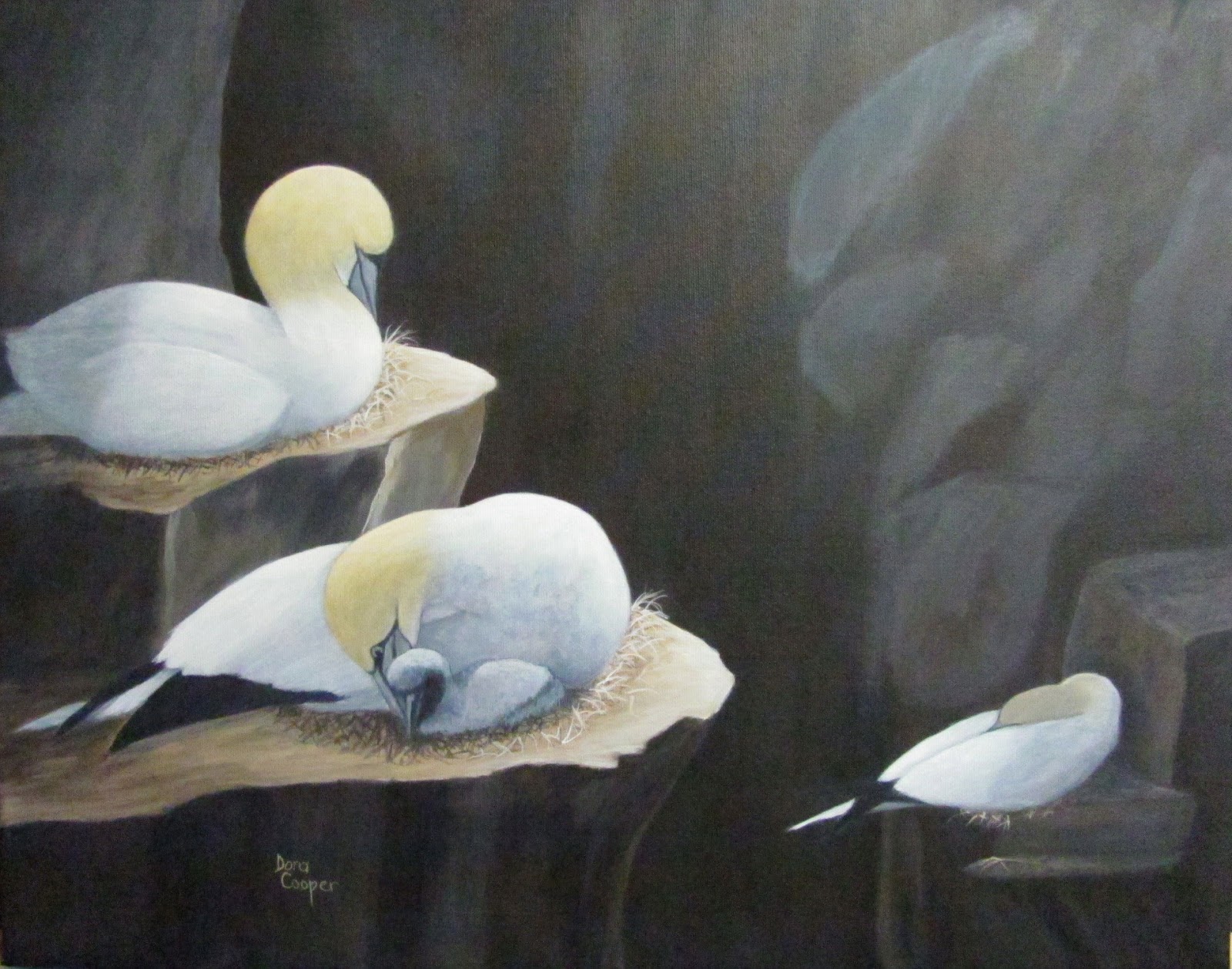 Arts Northeast: Dora Cooper