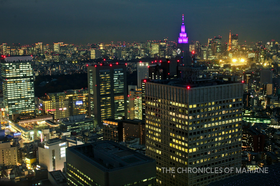 More of Western Tokyo: Shinjuku and Harajuku | The Chronicles of Mariane