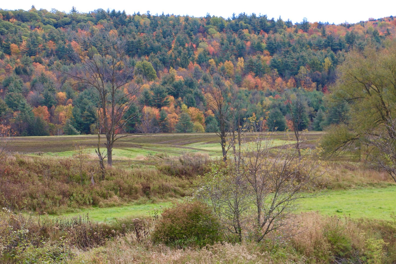 Snapshots of Vermont's Fall. | Southern Belle in Training