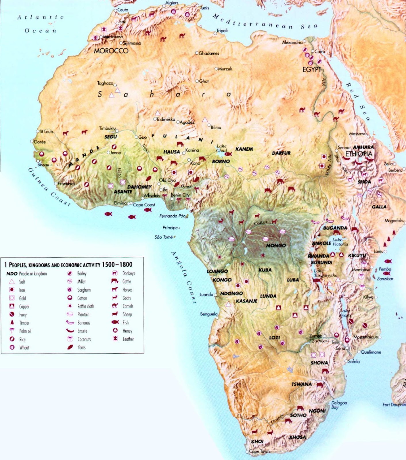 Afrika - geografinių žemėlapių Afrika - Geografia Total™