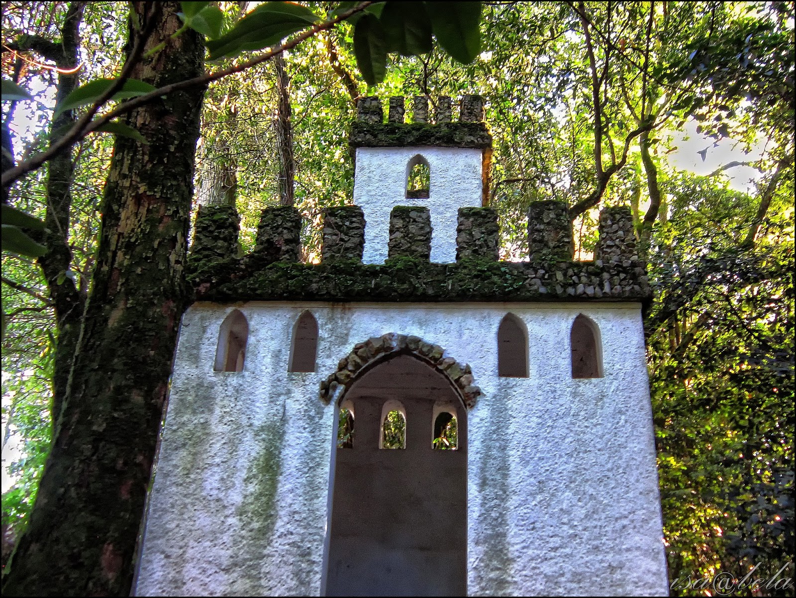 UM PIGO DE LUZ: Parque das Termas da Curia / Anadia