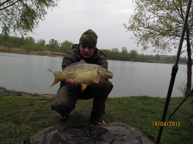Sex, Carp and Rock`n Roll: Moj prvi koi krap