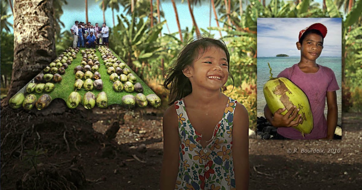 Coconut planting material for the Pacific region: Samoa