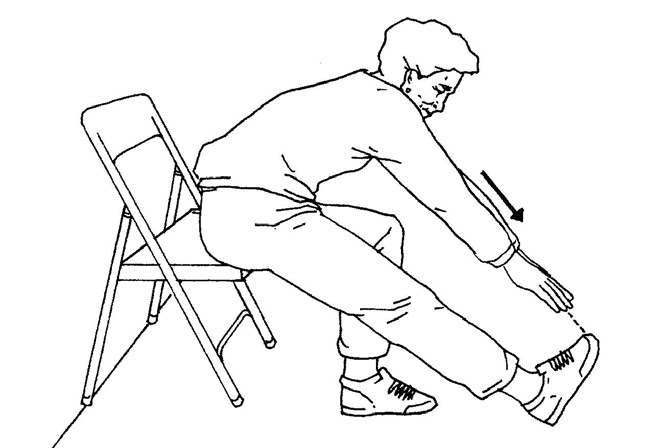 Batería Senior Fitness Test