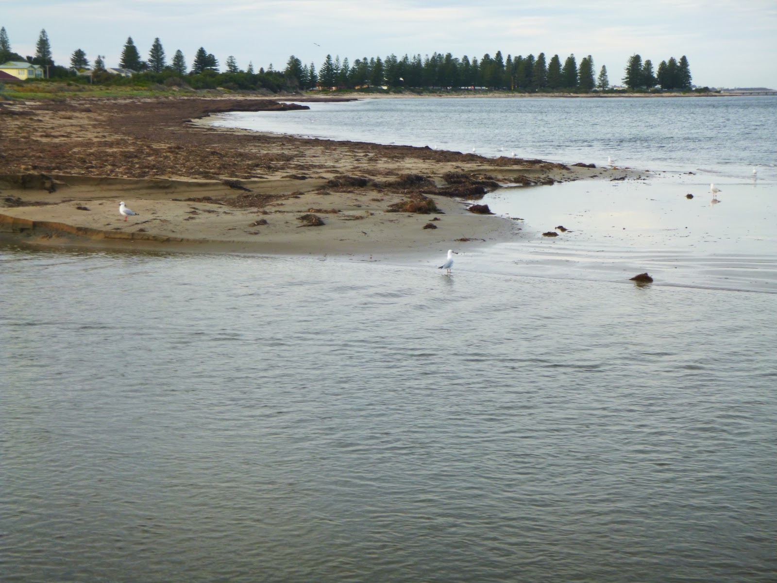Back Valley seasons: The Inman River mouth is open