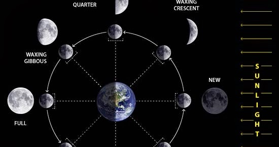 Krishnamacharya's Original Ashtanga Vinyasa Krama Yoga and beyond ...