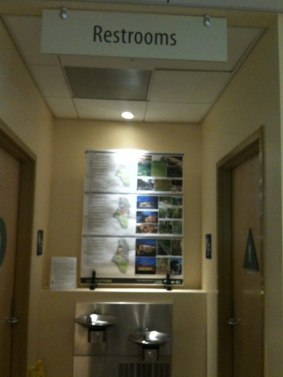 Glen Park Library - San Francisco Public Library: Glen Canyon Park ...