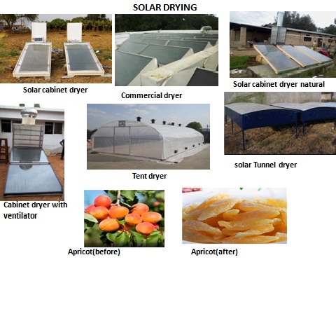 Solar Dryers