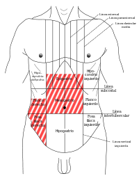 Apendicitis: Diagnóstico y tratamiento: Síntomas generales