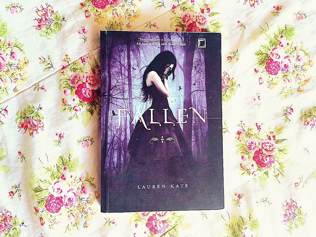 My Secret Books: Resenha Fallen