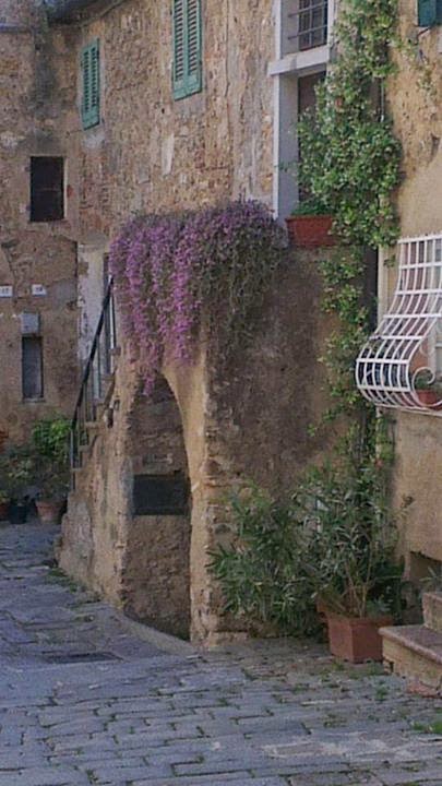 Erbe,the authentic Italian beauty culture.: Herbal decoration of our ...