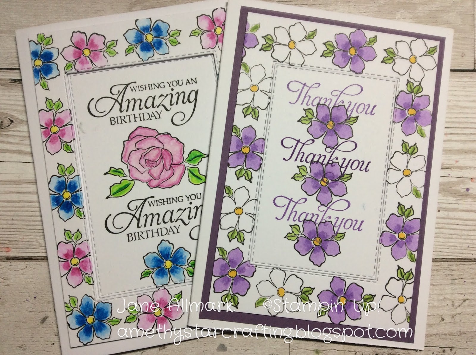 Crafting With Jane: Stampin Up New Rectangle Stitched Framelits - how ...