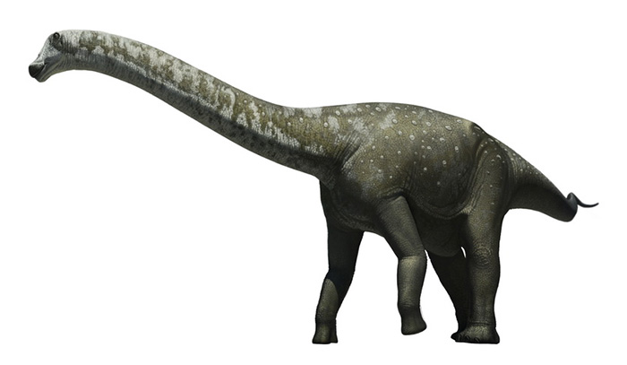 Mundo Pré-Histórico: Dinossauros do Brasil