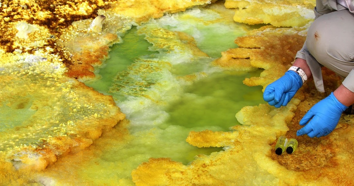 Hydrothermal Systems Show Spectrum of Extreme Life on Earth | Geology In