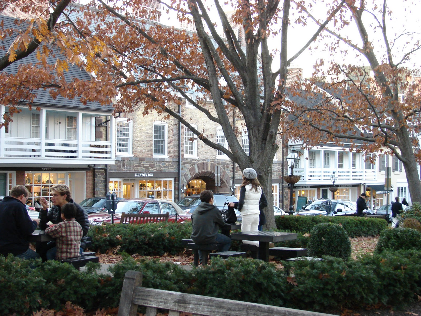 Dionne Designs: Discovering Downtown Princeton