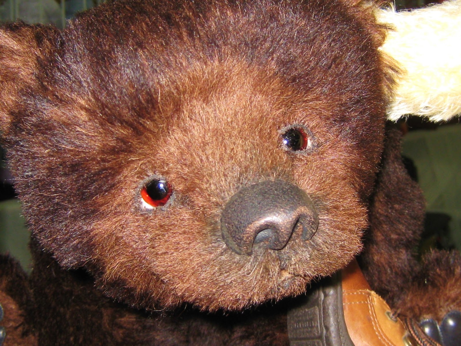 Kays Kids: Linda Benson's work shop, and Hahndorf Doll and Bear show.