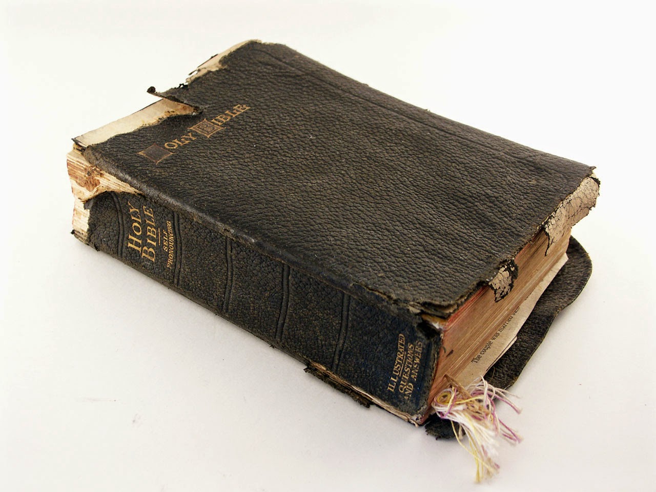 Journey of a Warrior Child