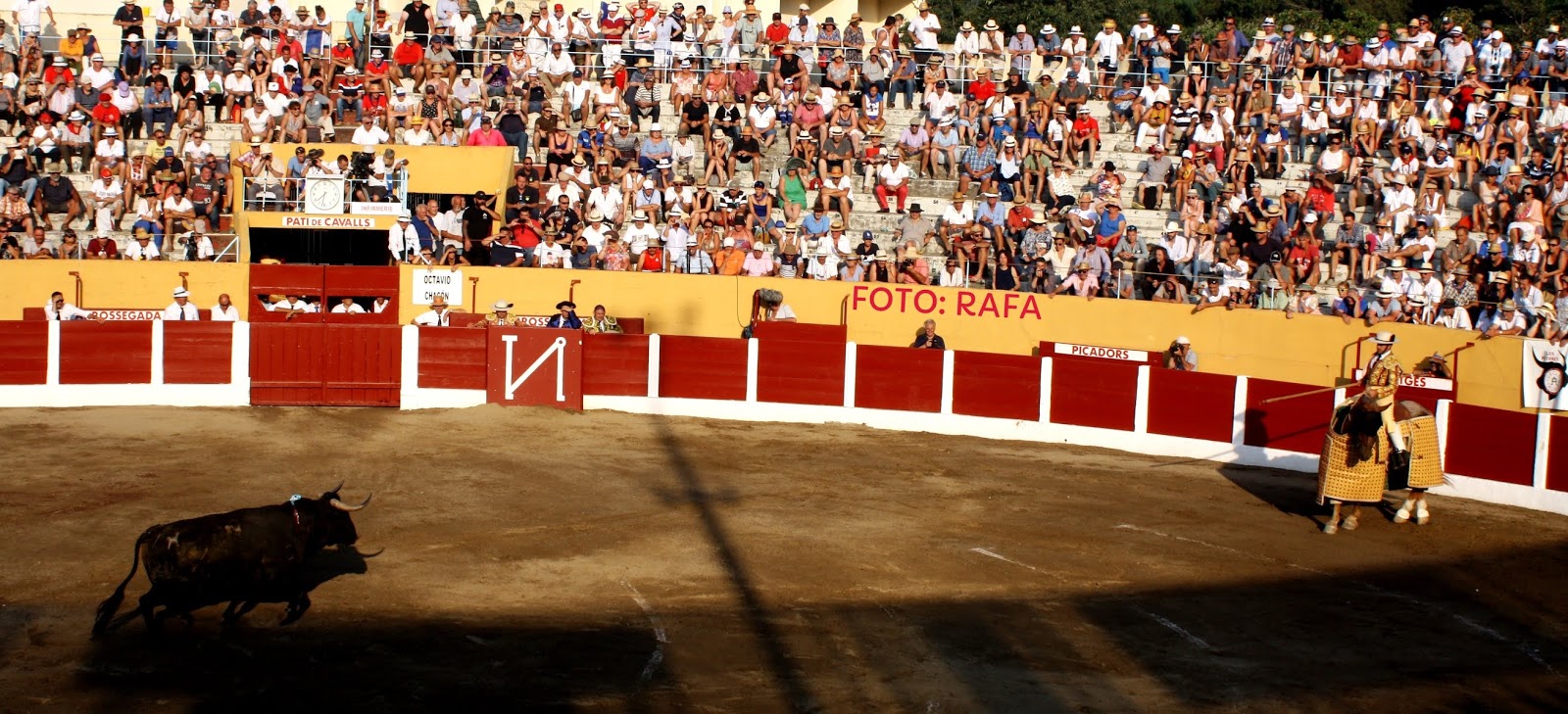 Toreo en Red Hondo: CÉRET DE TOROS, 2018 (3): 'SORTIJERO' SALVÓ A CAROLINA